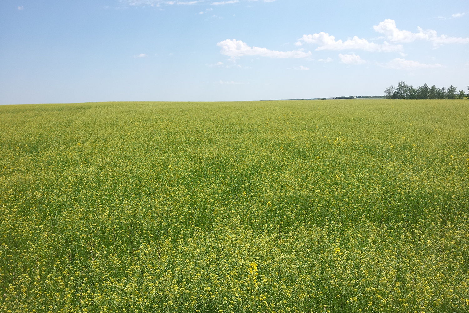 Welcome COSMOS – Project Summary | In the media